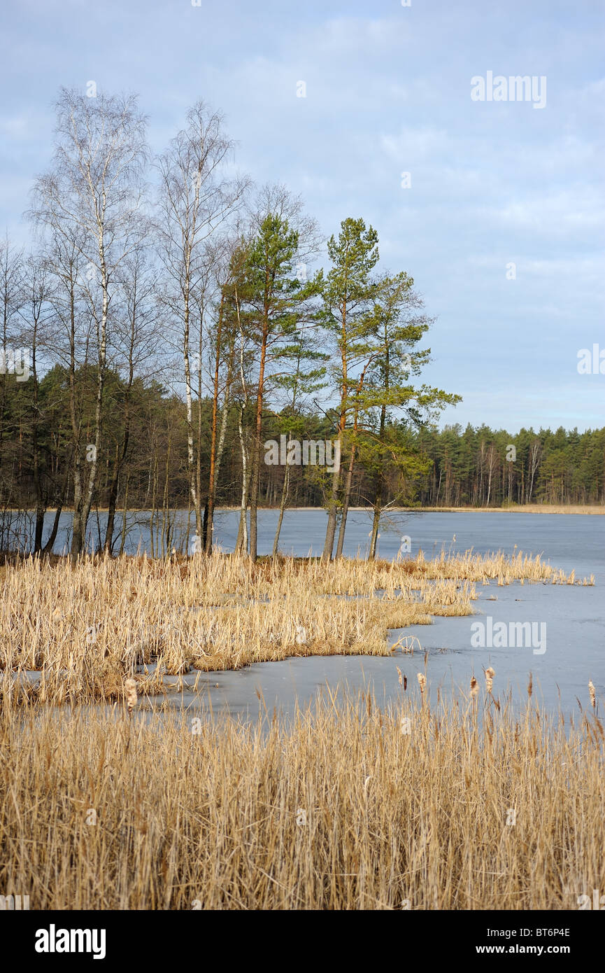 Lake in March Stock Photo - Alamy