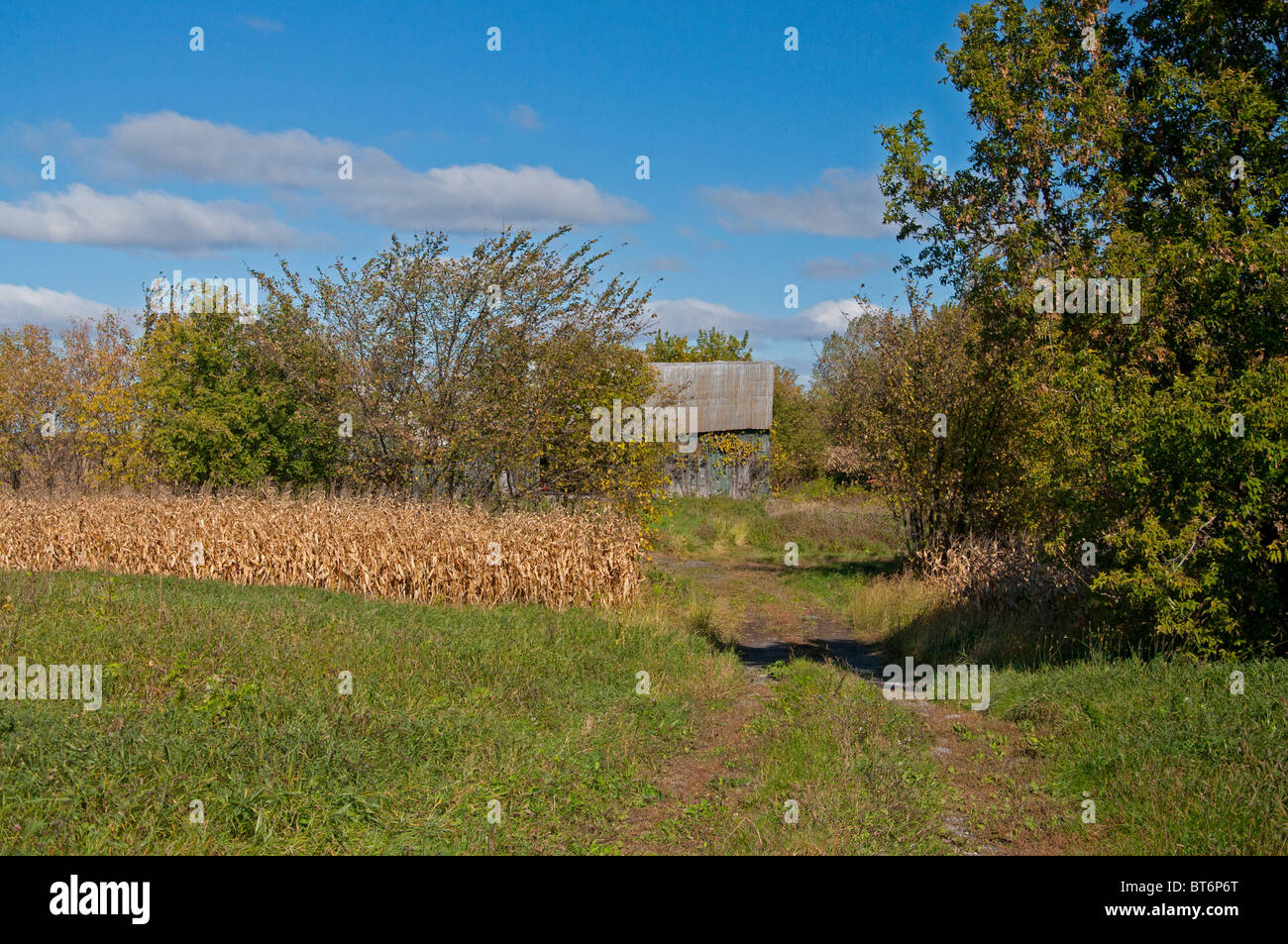 A trail leading to an old farm building in Southern Quebec Stock Photo ...
