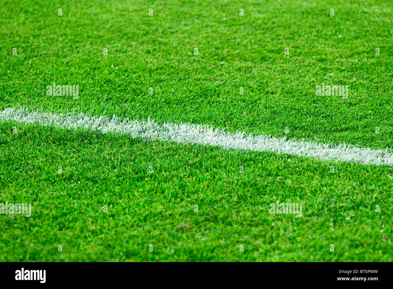 White line on a football field grass Stock Photo - Alamy