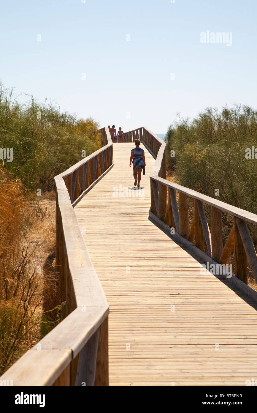 Wooden walkway across sand dunes Stock Photo - Alamy