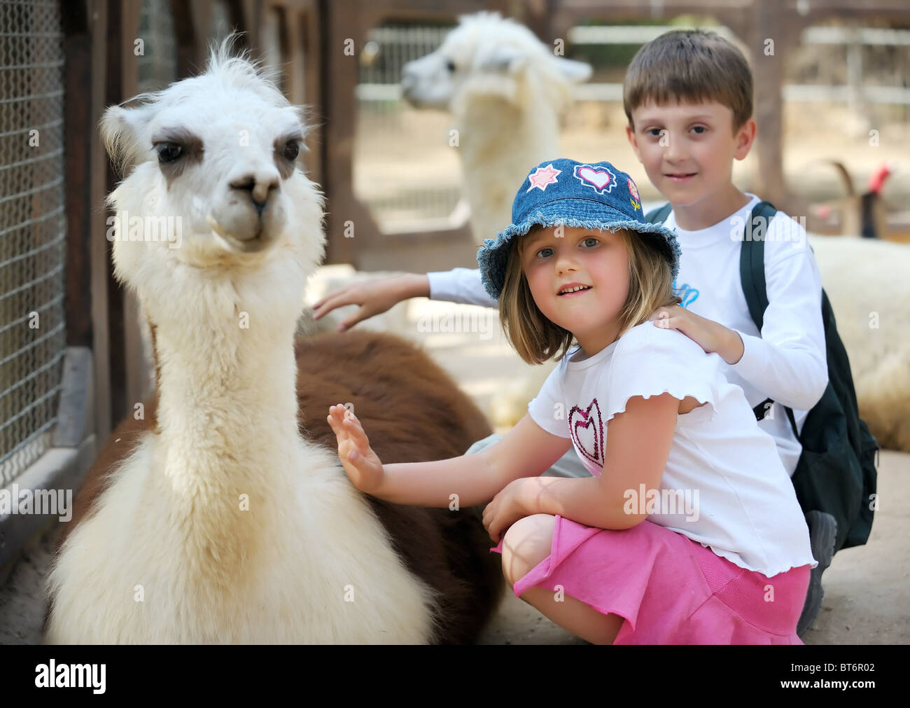 Children Zoo High Resolution Stock Photography and Images - Alamy