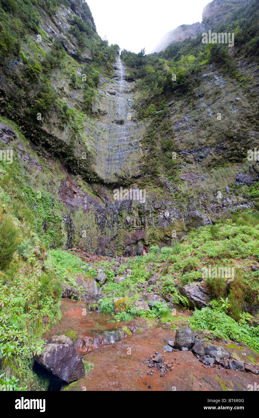 Madeira portugal europa hi-res stock photography and images - Alamy