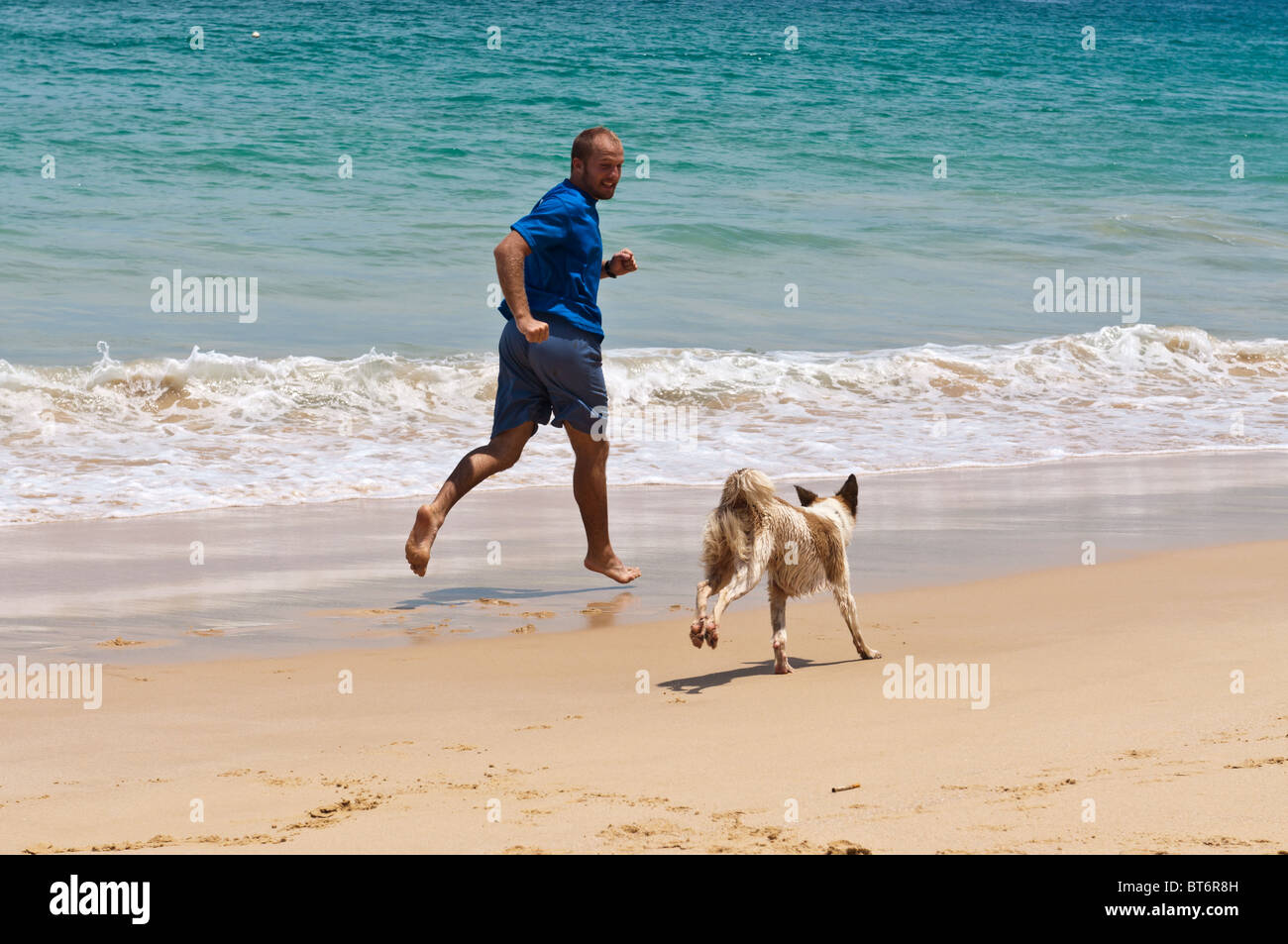 Man jogging with his dog Stock Photo - Alamy