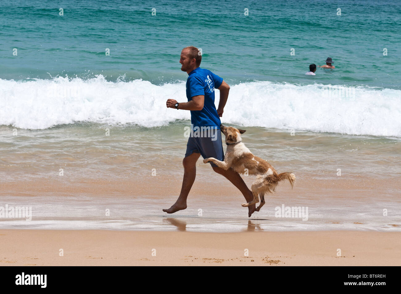 Man jogging with his dog Stock Photo - Alamy