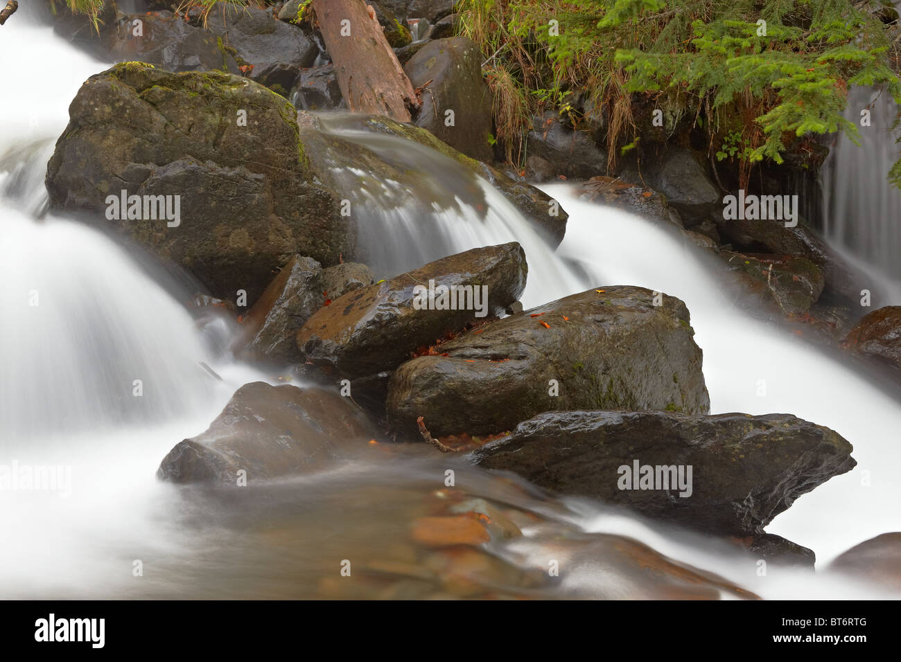 Autumn brook with mini waterfalls flowing in the national park Stock ...