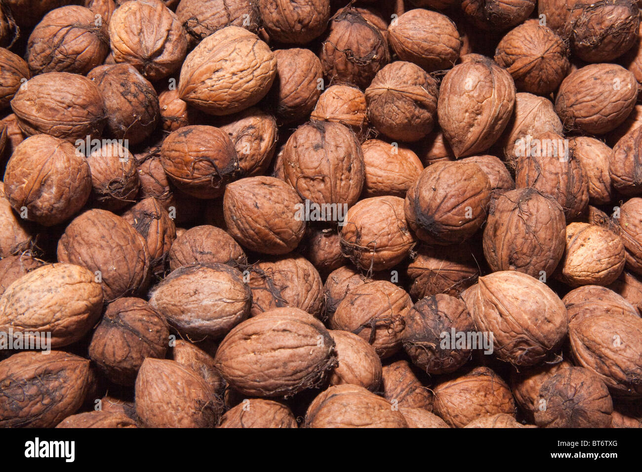 Small wallnuts hi-res stock photography and images - Alamy
