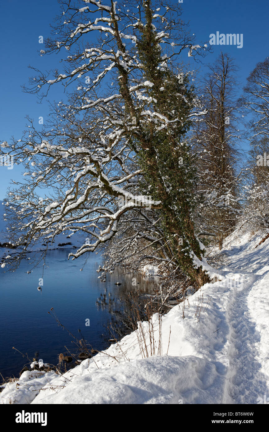 Dales Way footpath by the River Wharfe, near Burnsall, Yorkshire ...