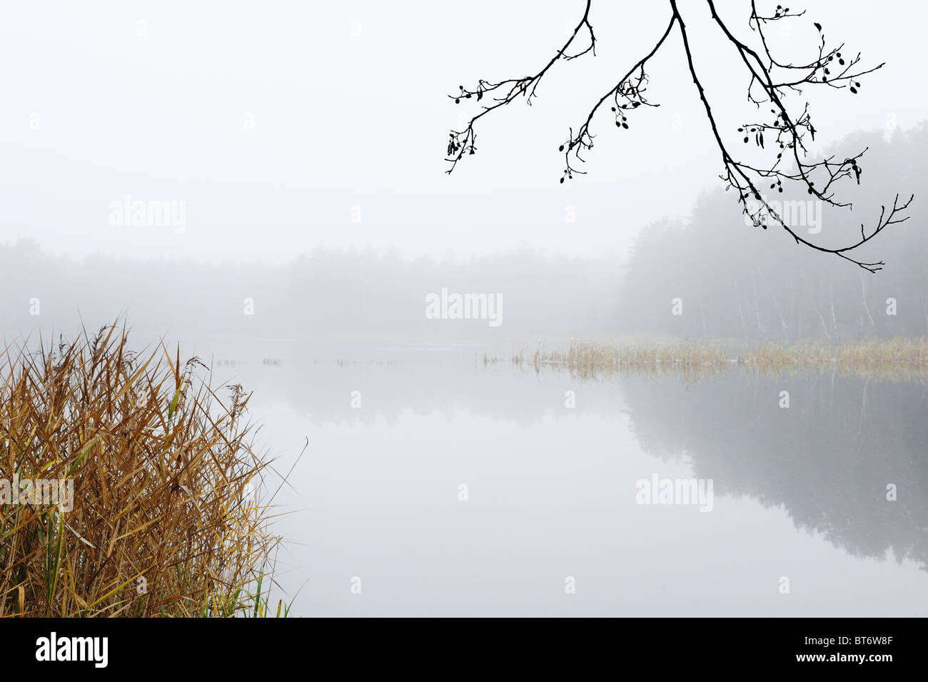 Morning river mist hi-res stock photography and images - Alamy