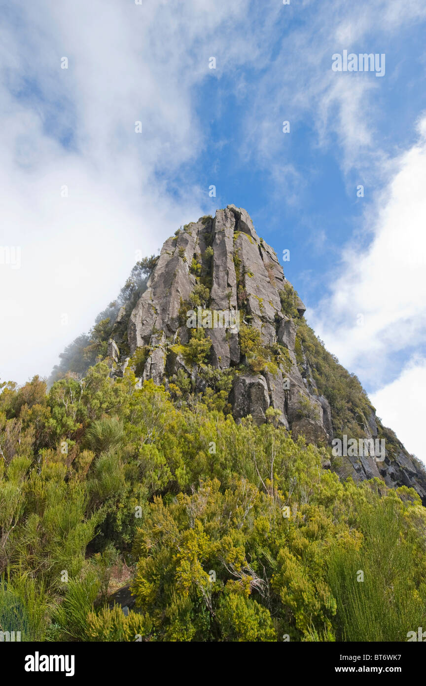 Mt Pinaculo, Levada da Serra, Madeira, Portugal Stock Photo - Alamy