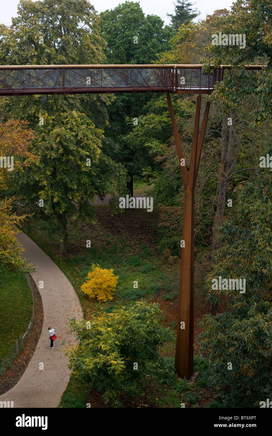Tree top walk kew autumn hi-res stock photography and images - Alamy