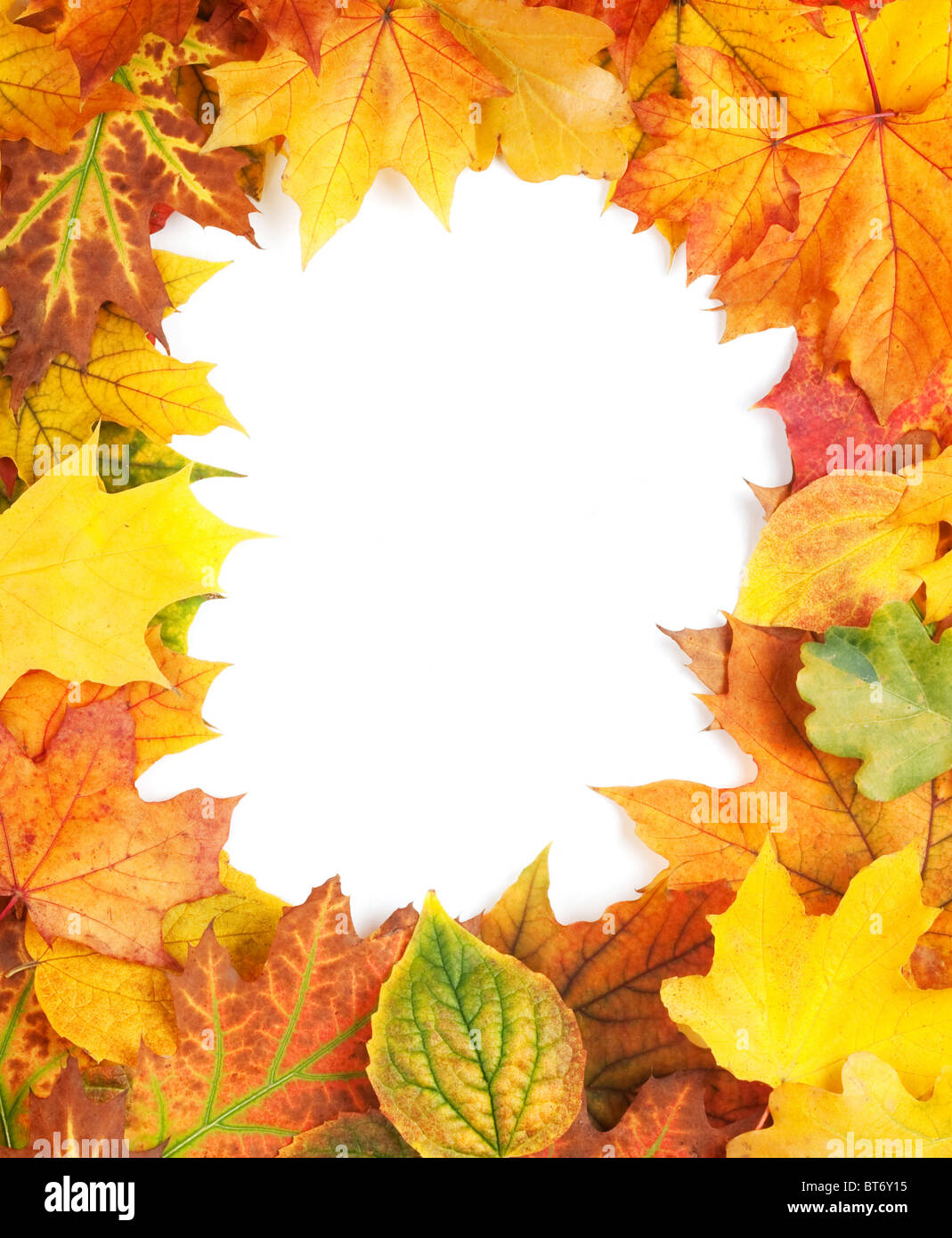 Yellow autumn leaves isolated on white background Stock Photo - Alamy