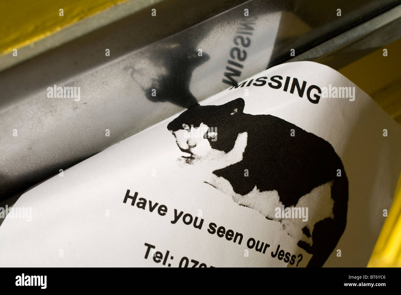 Poster leaflet hi-res stock photography and images - Alamy
