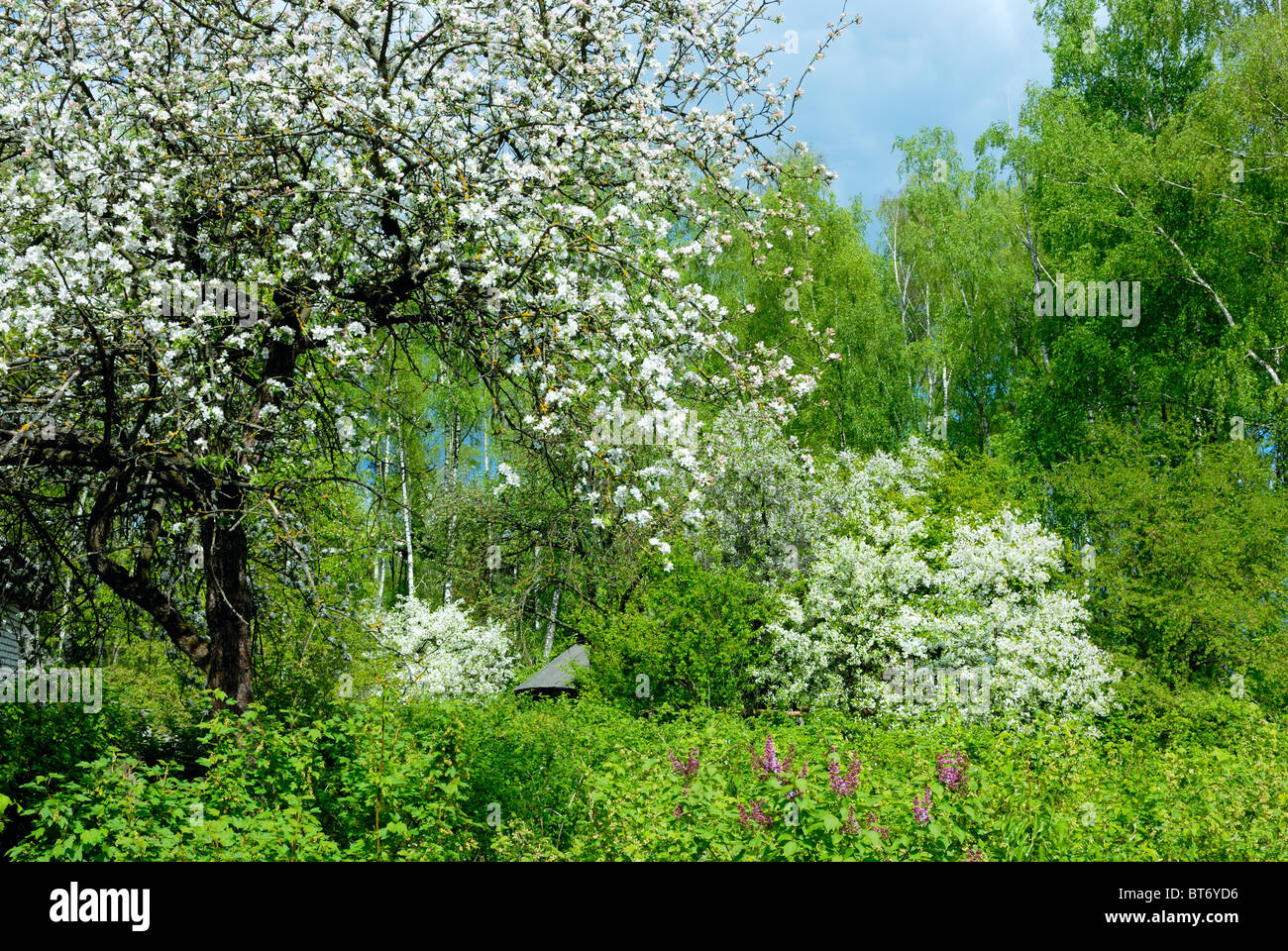 Apple court garden hi-res stock photography and images - Alamy