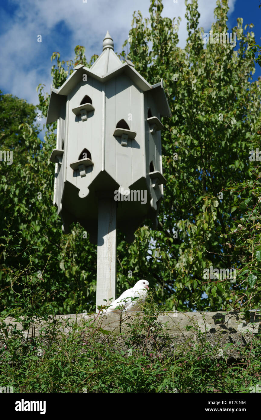 A dovecote or dovecot (Scots: Doocot) is a building intended to house ...