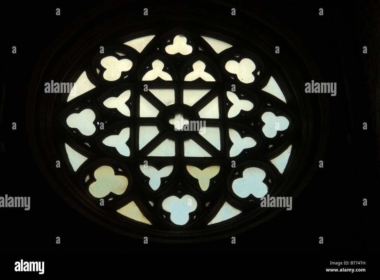 Santa Maria Maggiore Rose High Resolution Stock Photography and Images ...