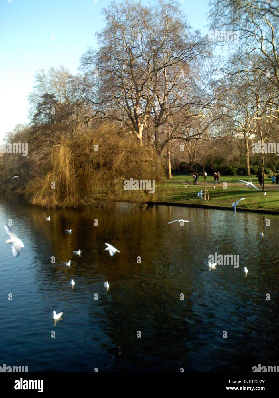Feng Chen Feng - Alternative Tube Map Project. Funded by The John Kobal ...