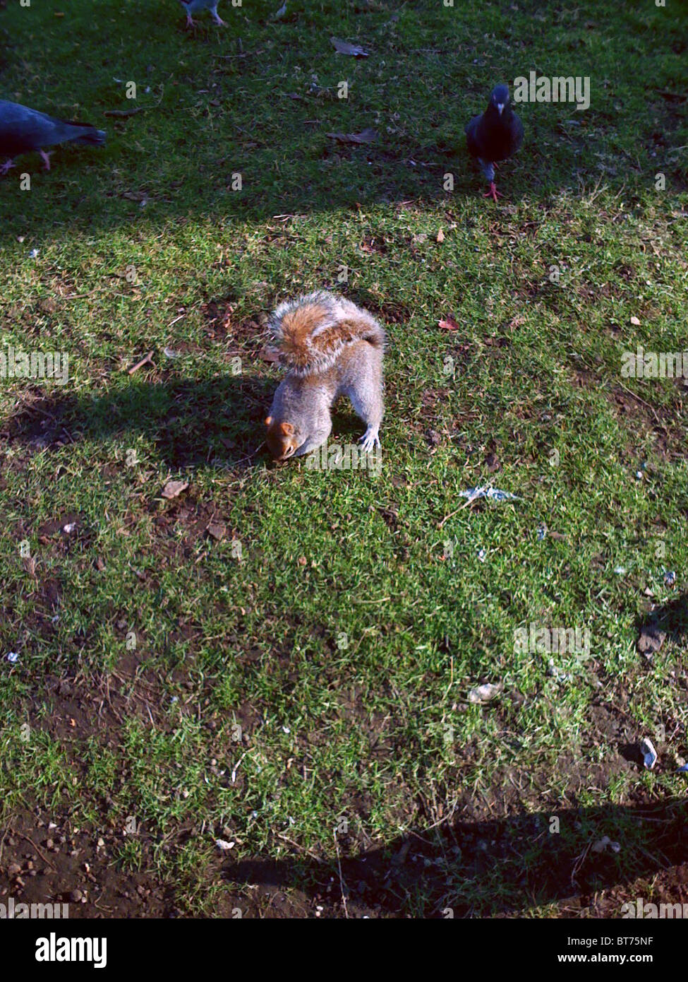 Feng Chen Feng - Alternative Tube Map Project. Funded by The John Kobal ...