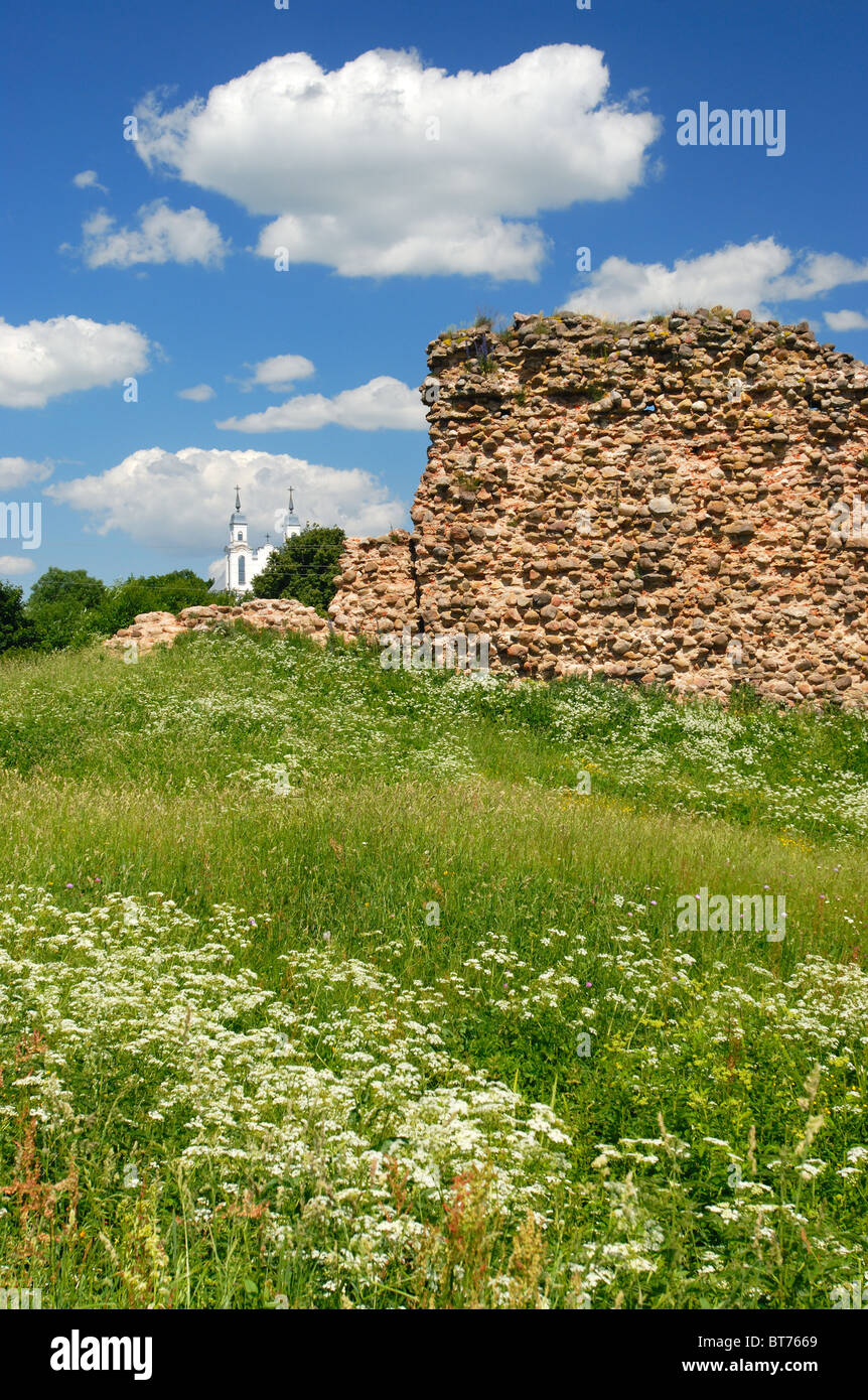 Ancient ruins and wildflowers hi-res stock photography and images - Alamy