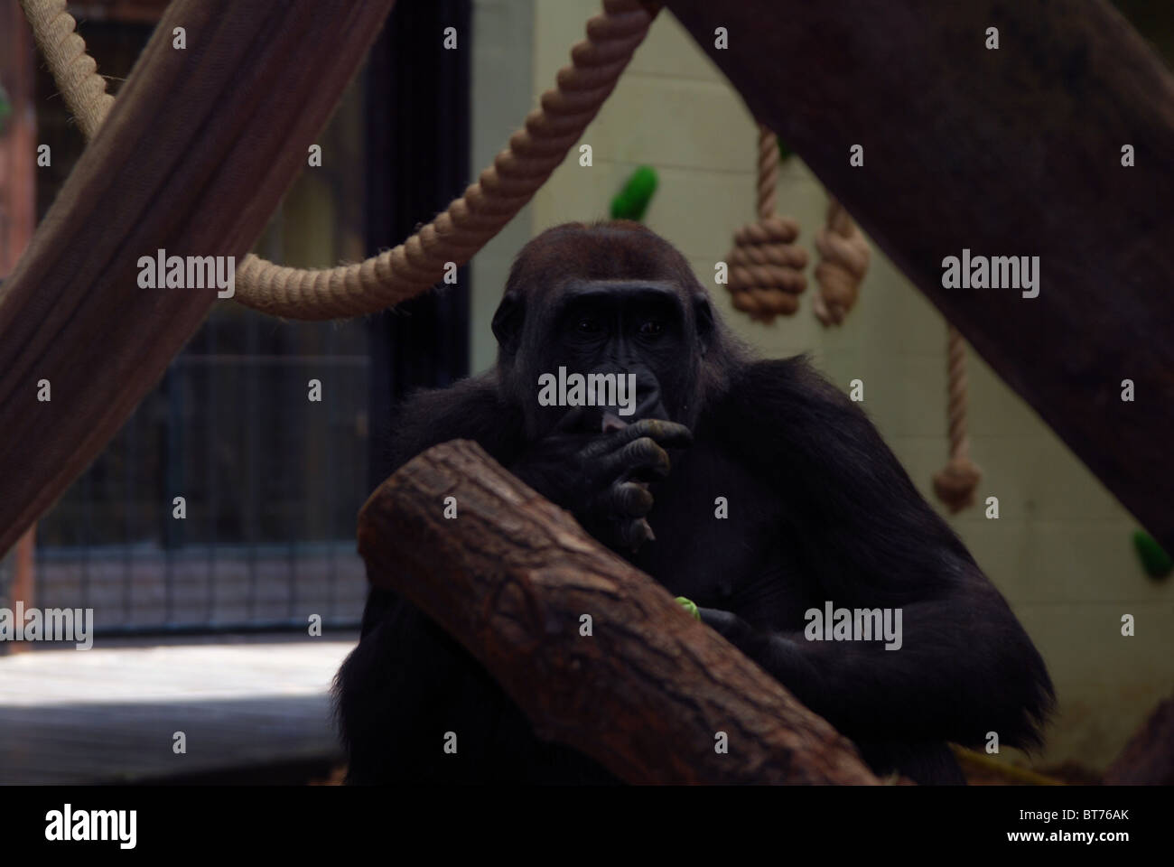 Feng Chen Feng - Alternative Tube Map Project. Funded by The John Kobal ...