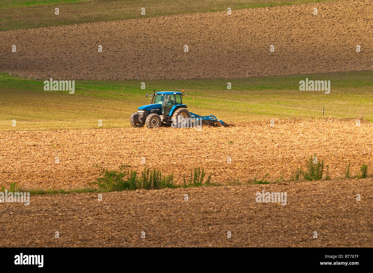 New Holland TM115 tractor with cultivator - sud-Touraine, France Stock ...