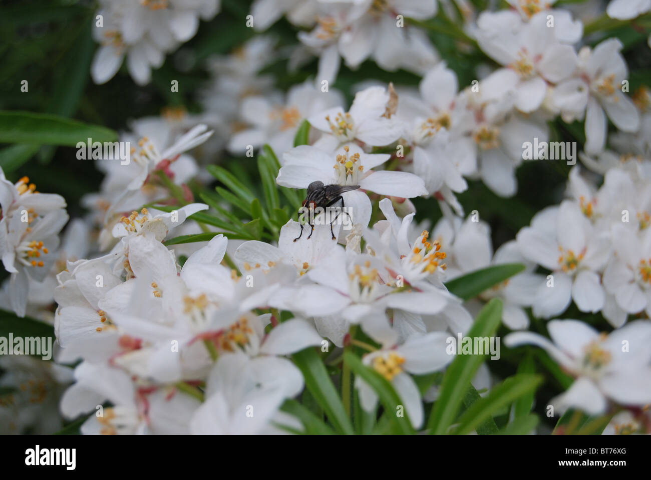 Feng Chen Feng - Alternative Tube Map Project. Funded by The John Kobal ...