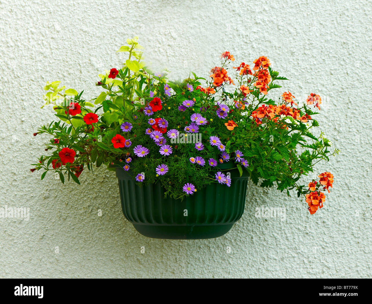 Colourful garden walls hi-res stock photography and images - Alamy