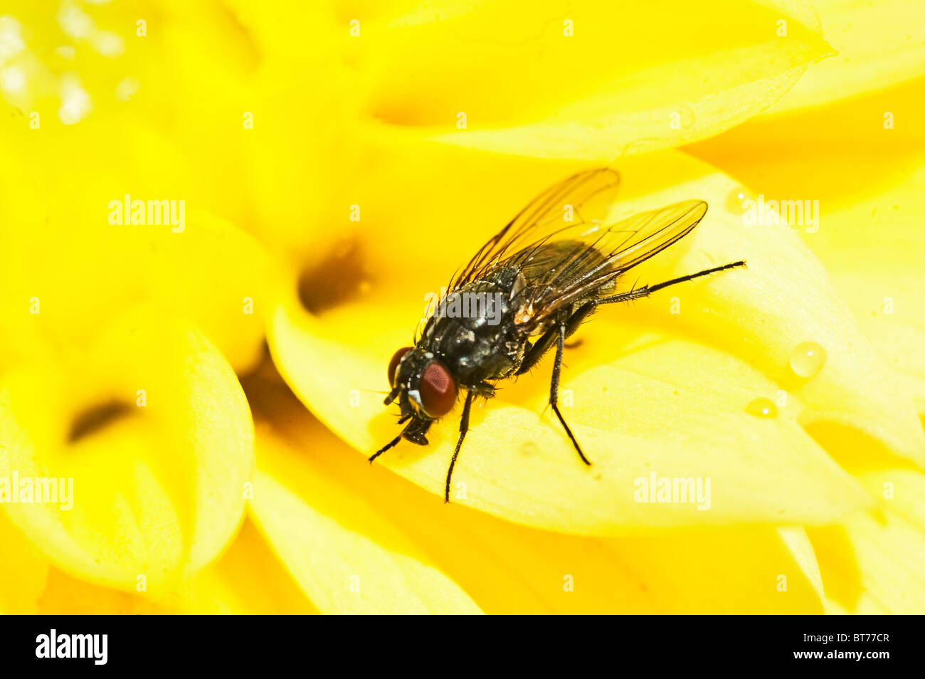 Backdrop publication hi-res stock photography and images - Alamy