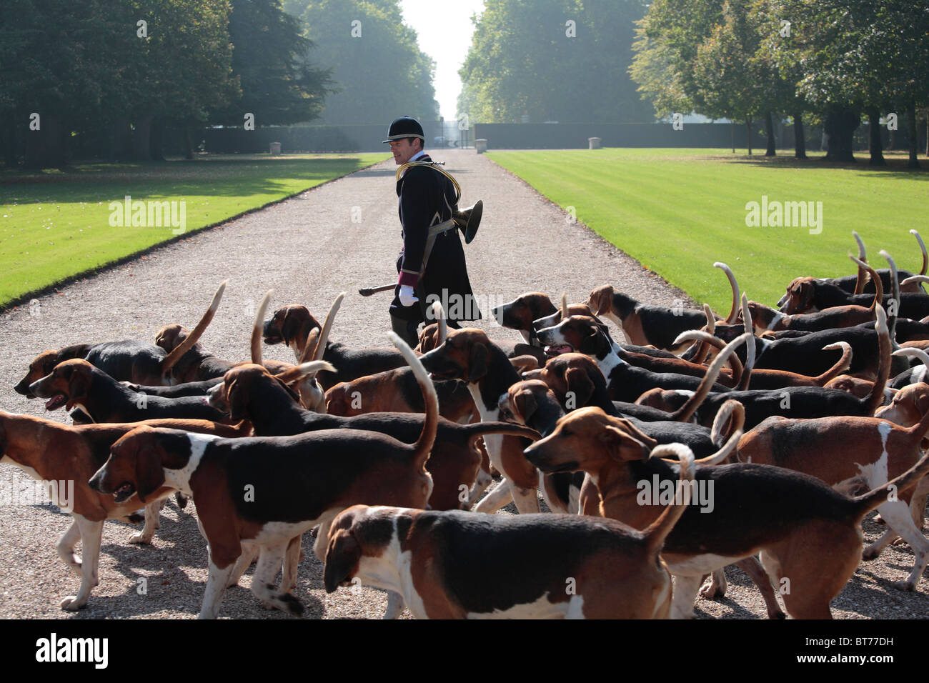 Hounds And Huntsman High Resolution Stock Photography and Images - Alamy