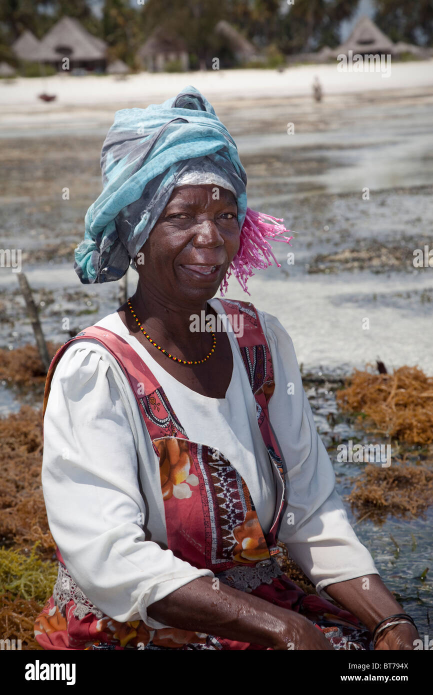 Jambiani, Zanzibar, Tanzania. Woman at her seaweed plot Stock Photo - Alamy