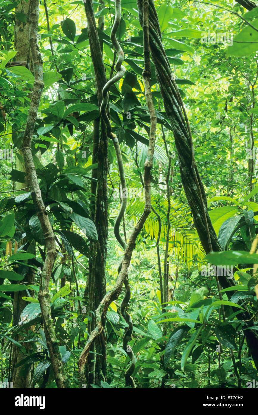 Una biological reserve hi-res stock photography and images - Alamy