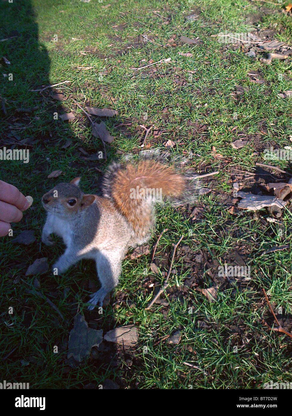 Feng Chen Feng - Alternative Tube Map Project. Funded by The John Kobal ...
