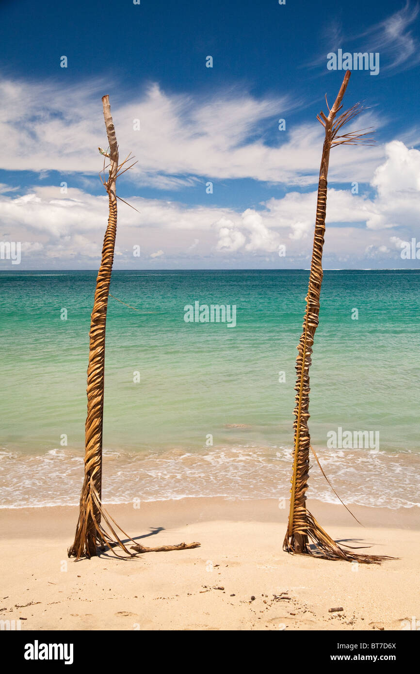 Woven sticks on the beach in Fiji Stock Photo - Alamy