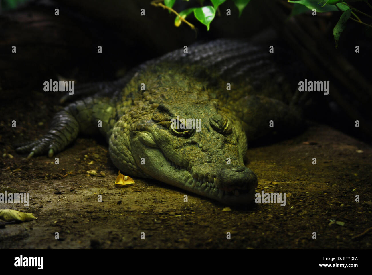 Feng Chen Feng - Alternative Tube Map Project. Funded by The John Kobal ...