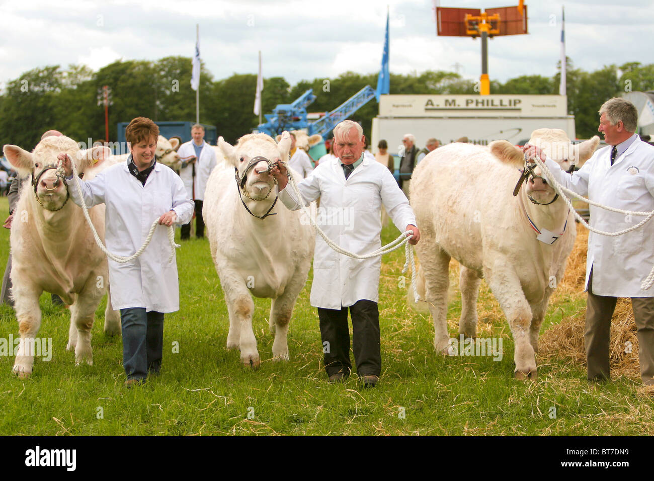 rural community uk Farm show .Angus Scotland Stock Photo - Alamy