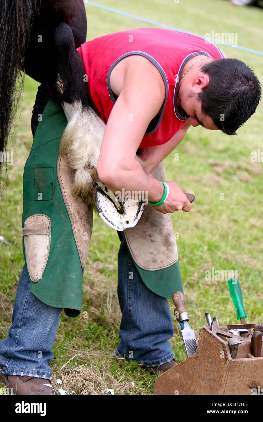 Farrier shoeing horse uk hi-res stock photography and images - Alamy