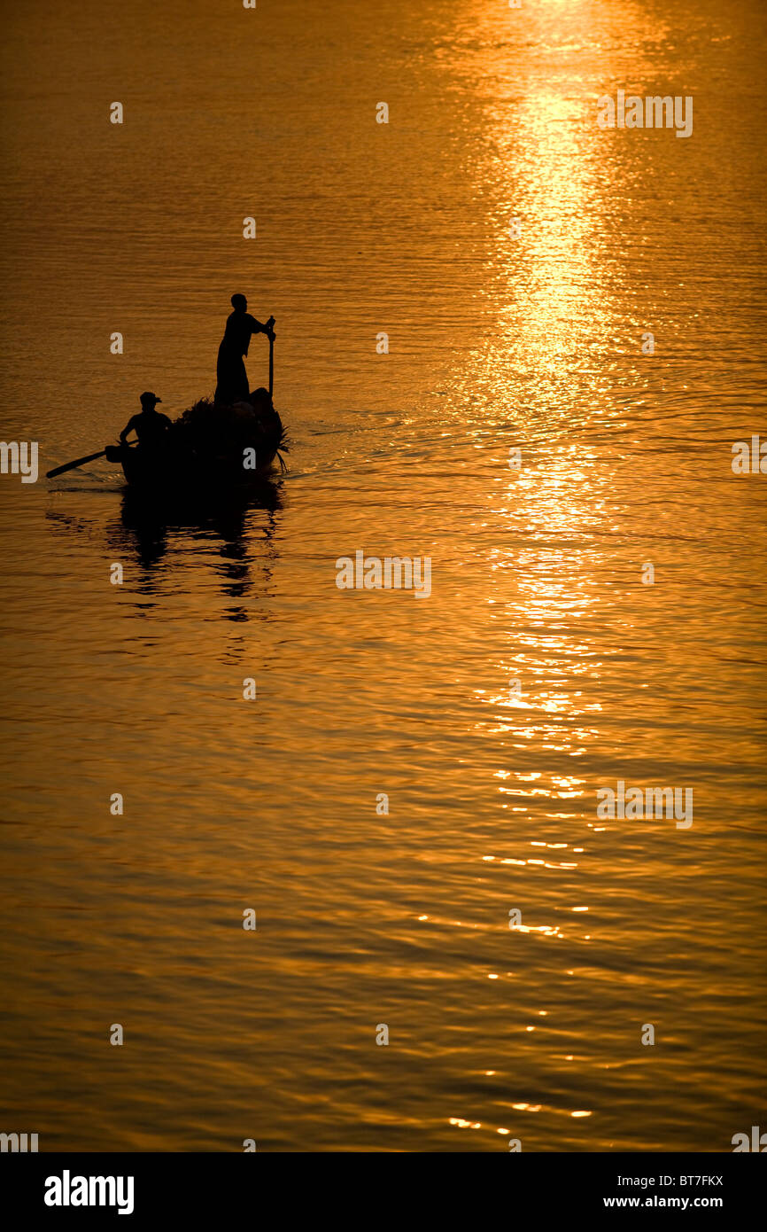 Boatsmen rowing on a river lit by golden sunset Stock Photo - Alamy