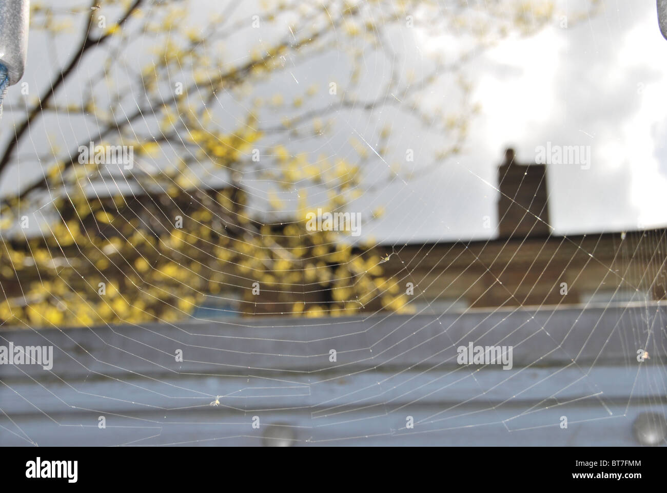 Feng Chen Feng - Alternative Tube Map Project. Funded by The John Kobal ...