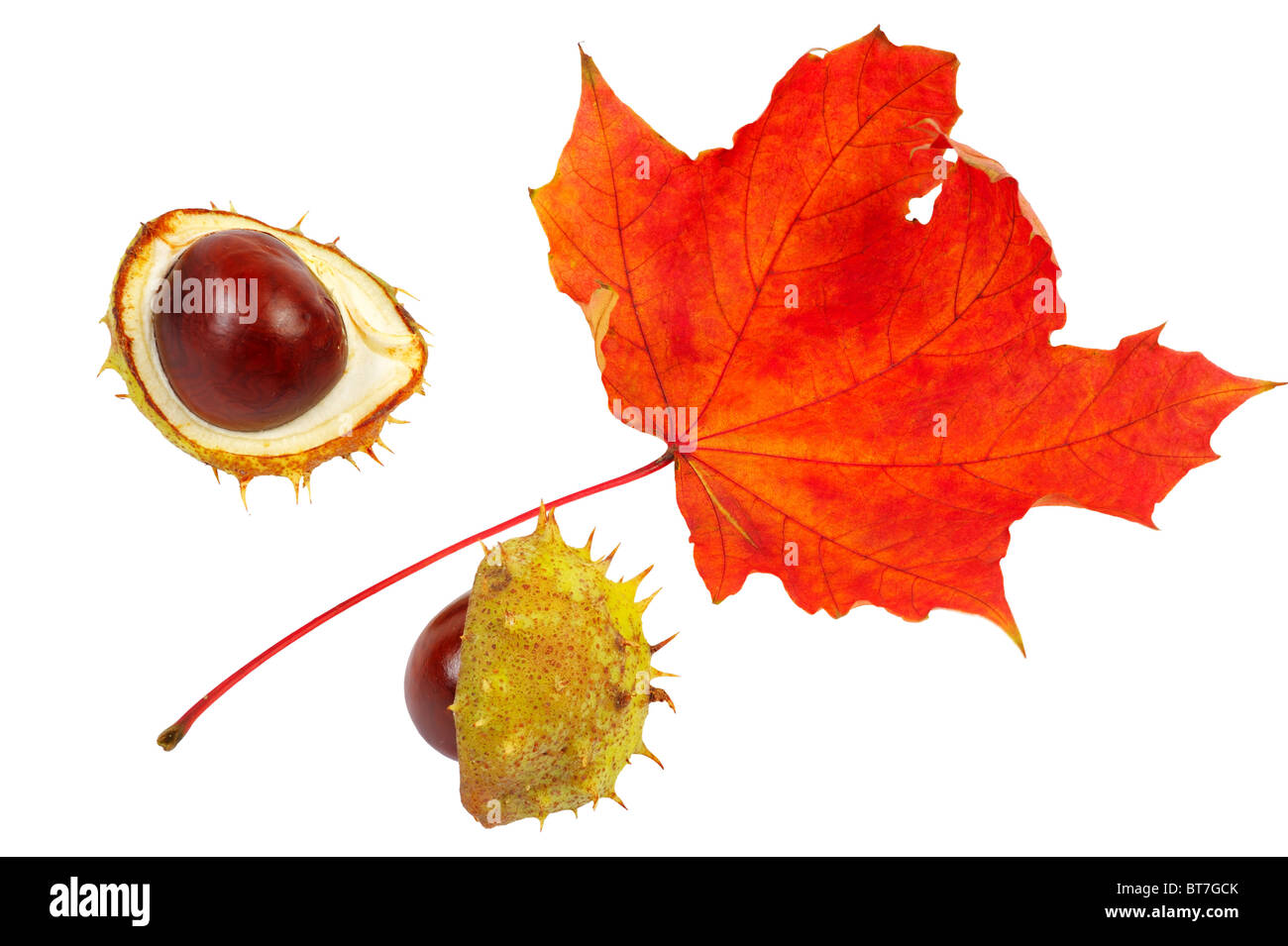 Signs of autumn Stock Photo - Alamy