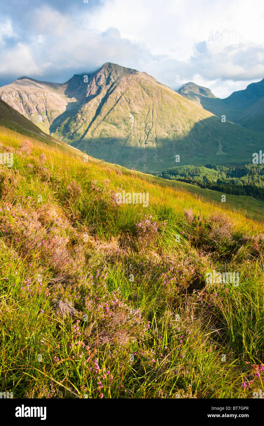 Scottish Grasslands High Resolution Stock Photography and Images - Alamy