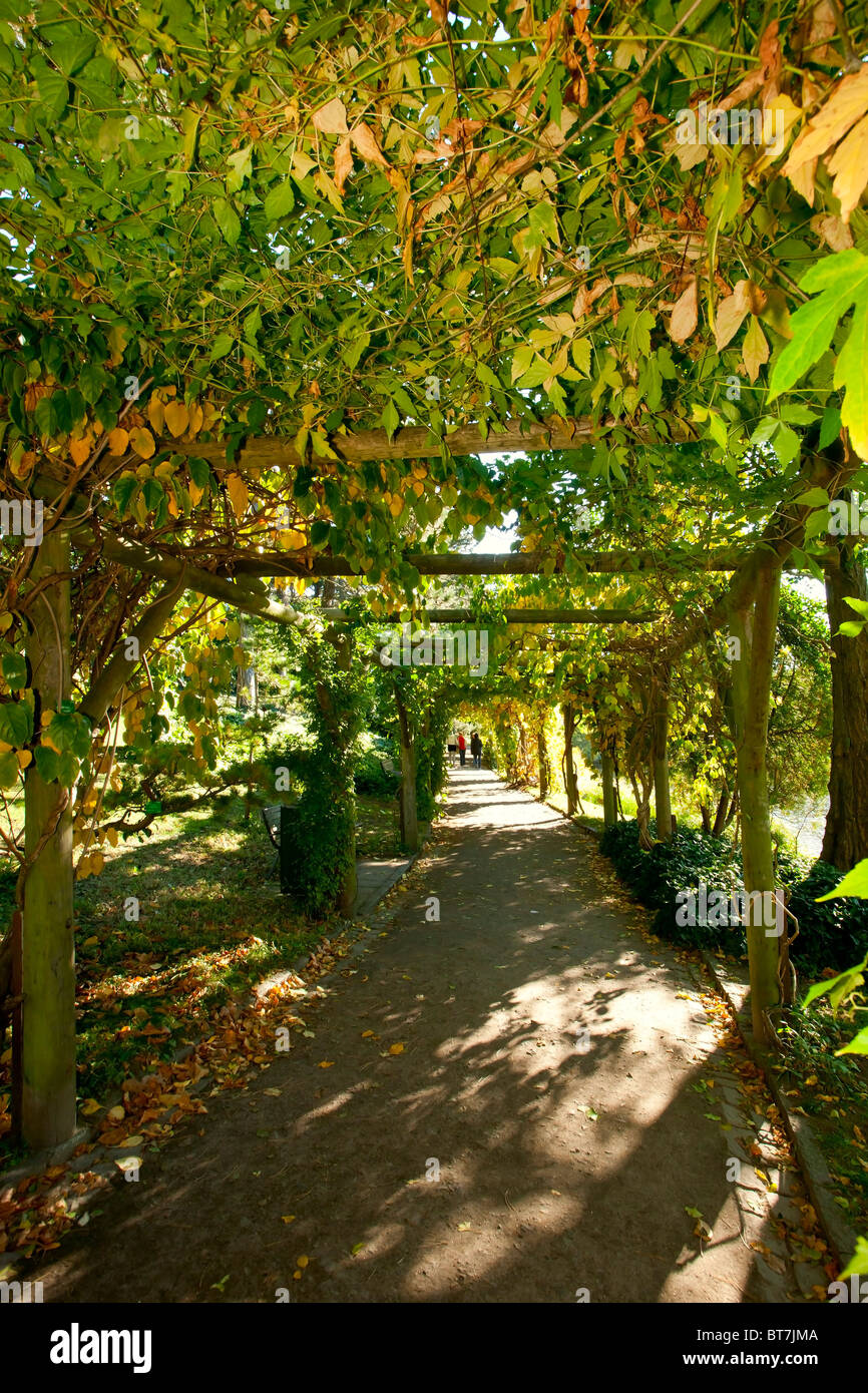 A roofed path in Botanical Garden in Copenhagen Stock Photo - Alamy