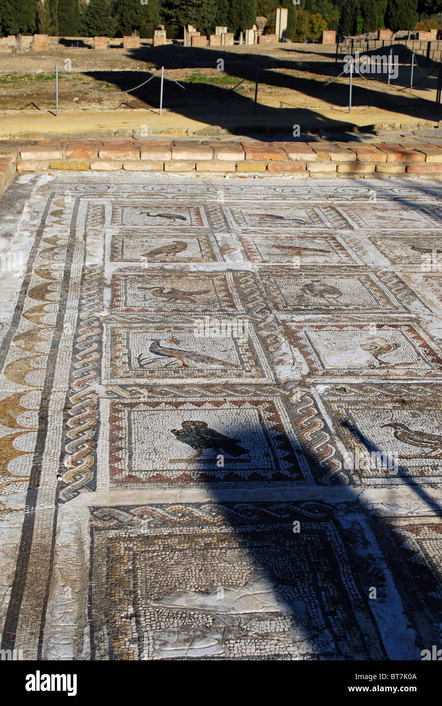 House of birds roman mosaic hi-res stock photography and images - Alamy