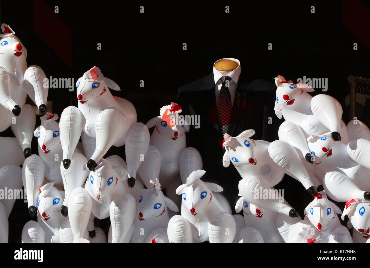 A special sheep themed window display at a tailors on Savile Row during ...