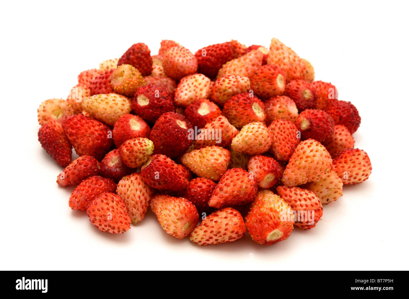 Woodland Strawberry on a white background Stock Photo - Alamy