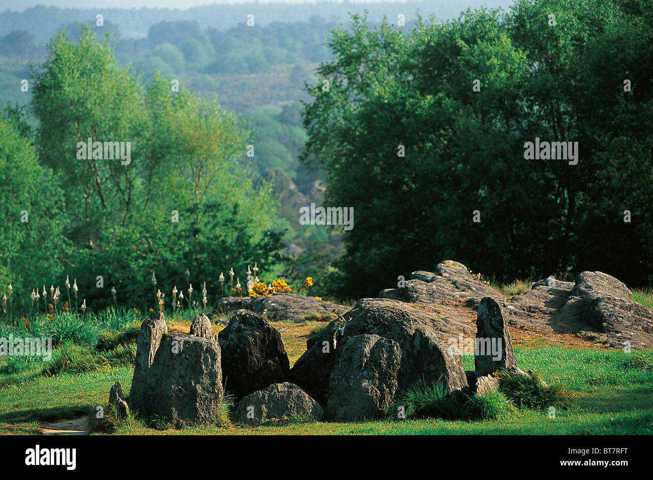 Paimpont hi-res stock photography and images - Alamy