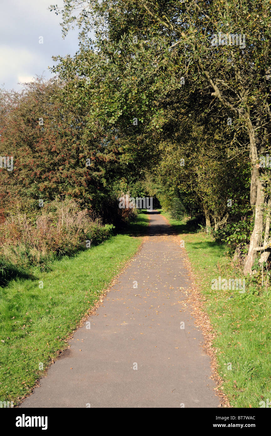 Cuckoo line hi-res stock photography and images - Alamy