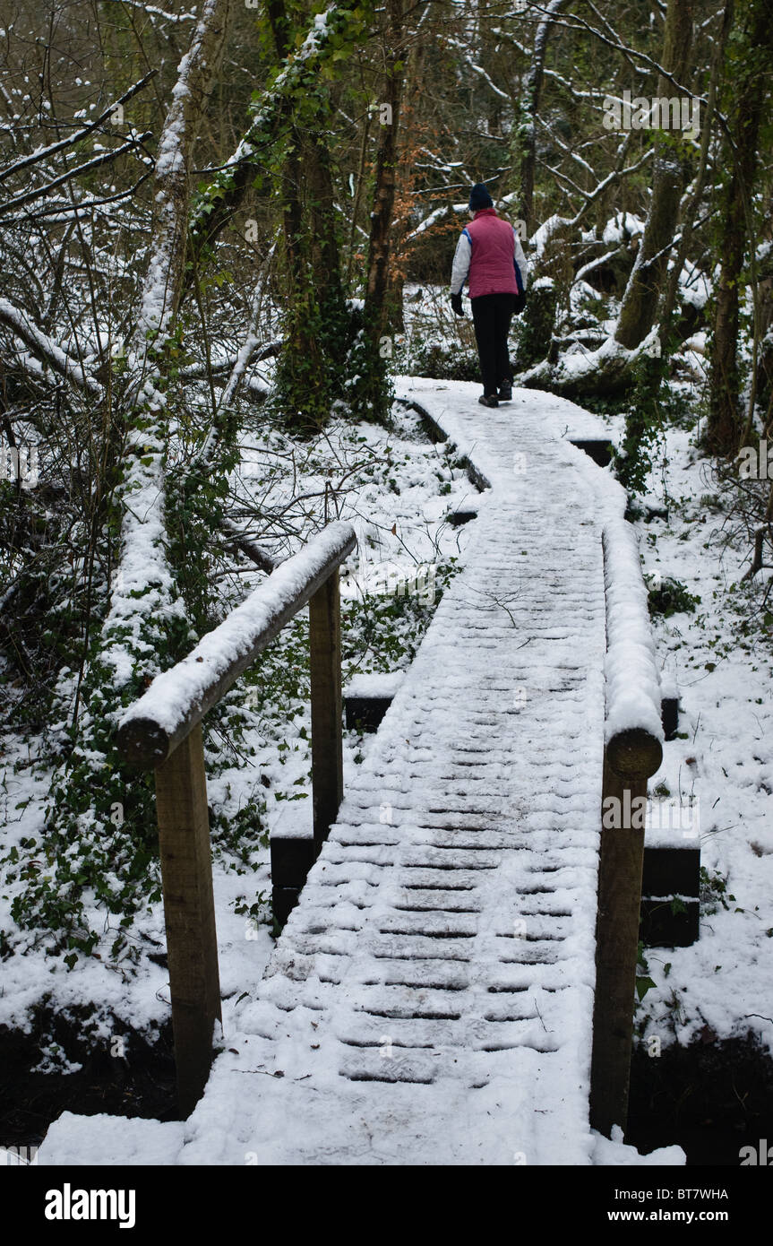 Trees woodland path walking snow hi-res stock photography and images ...