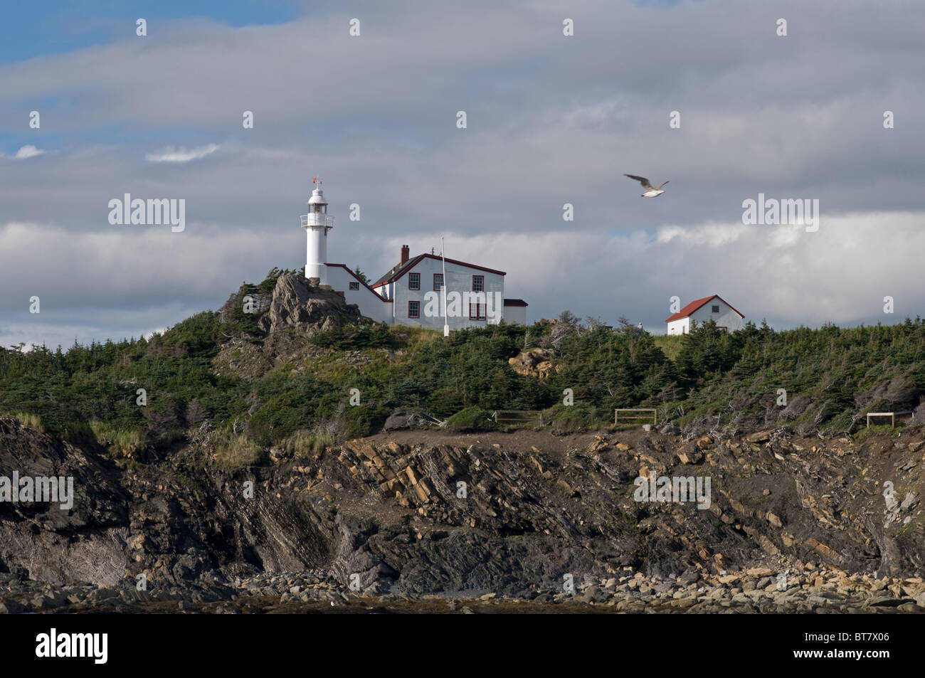 Lighthouse Lobster Cove Head Newfoundland and Labrador Stock Photo - Alamy