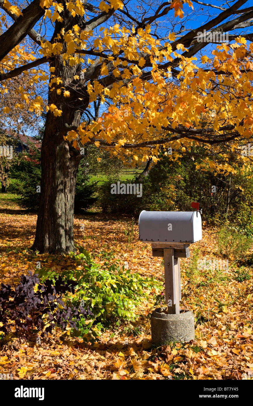 Canadian mailboxes hi-res stock photography and images - Alamy