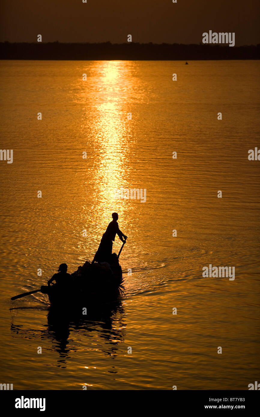 Boatsmen rowing on a river lit by golden sunset Stock Photo - Alamy