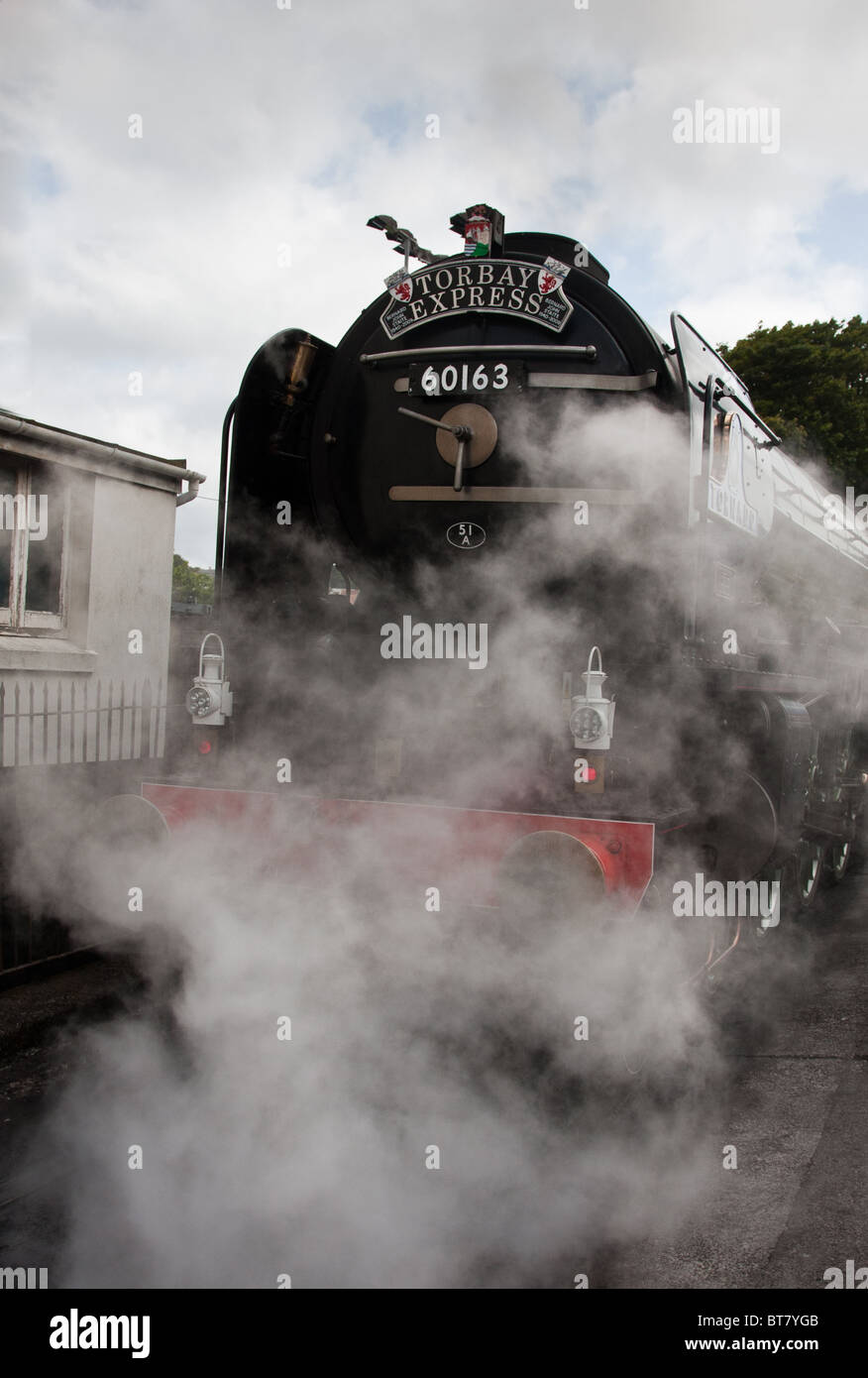 The Torbay Express High Resolution Stock Photography and Images - Alamy